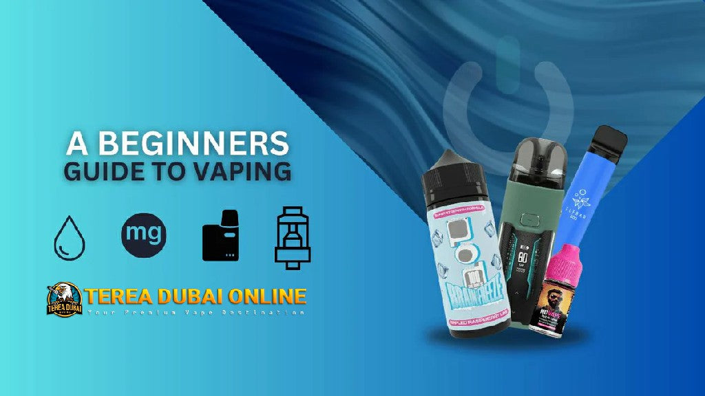 How to Choose the Perfect Vape for Beginners– Terea dubai online